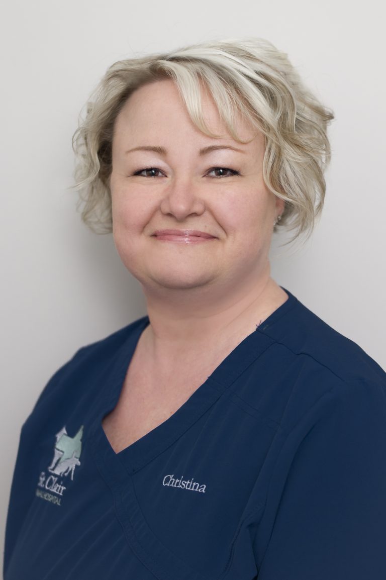 Meet the Team – Glasstown Veterinary Office for Wallaceburg and Chatham ...